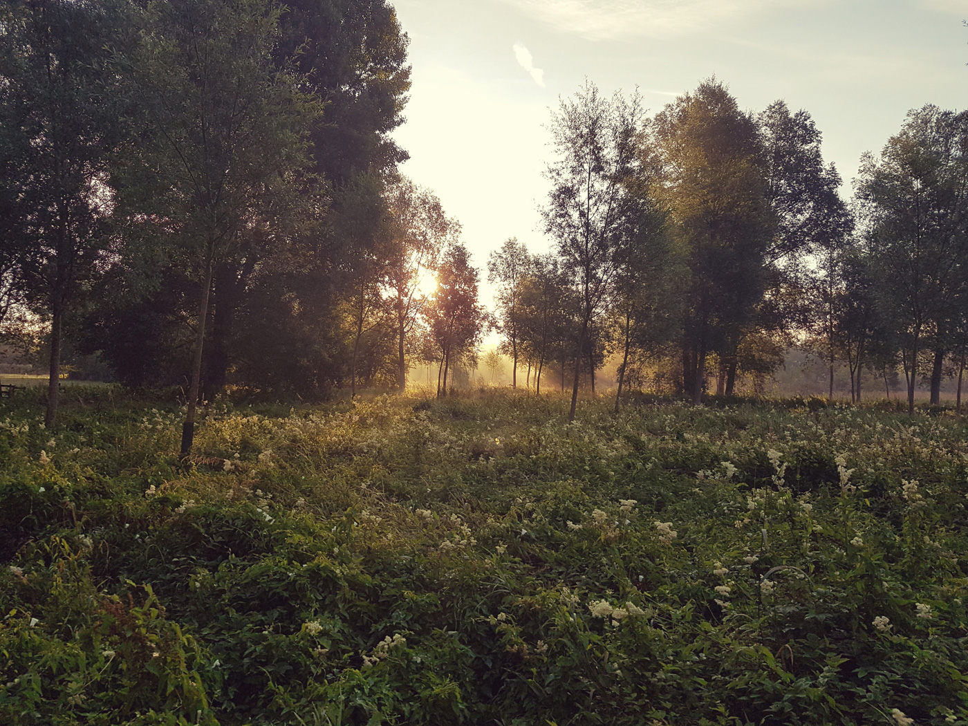 Gallery – Boxted Village Website