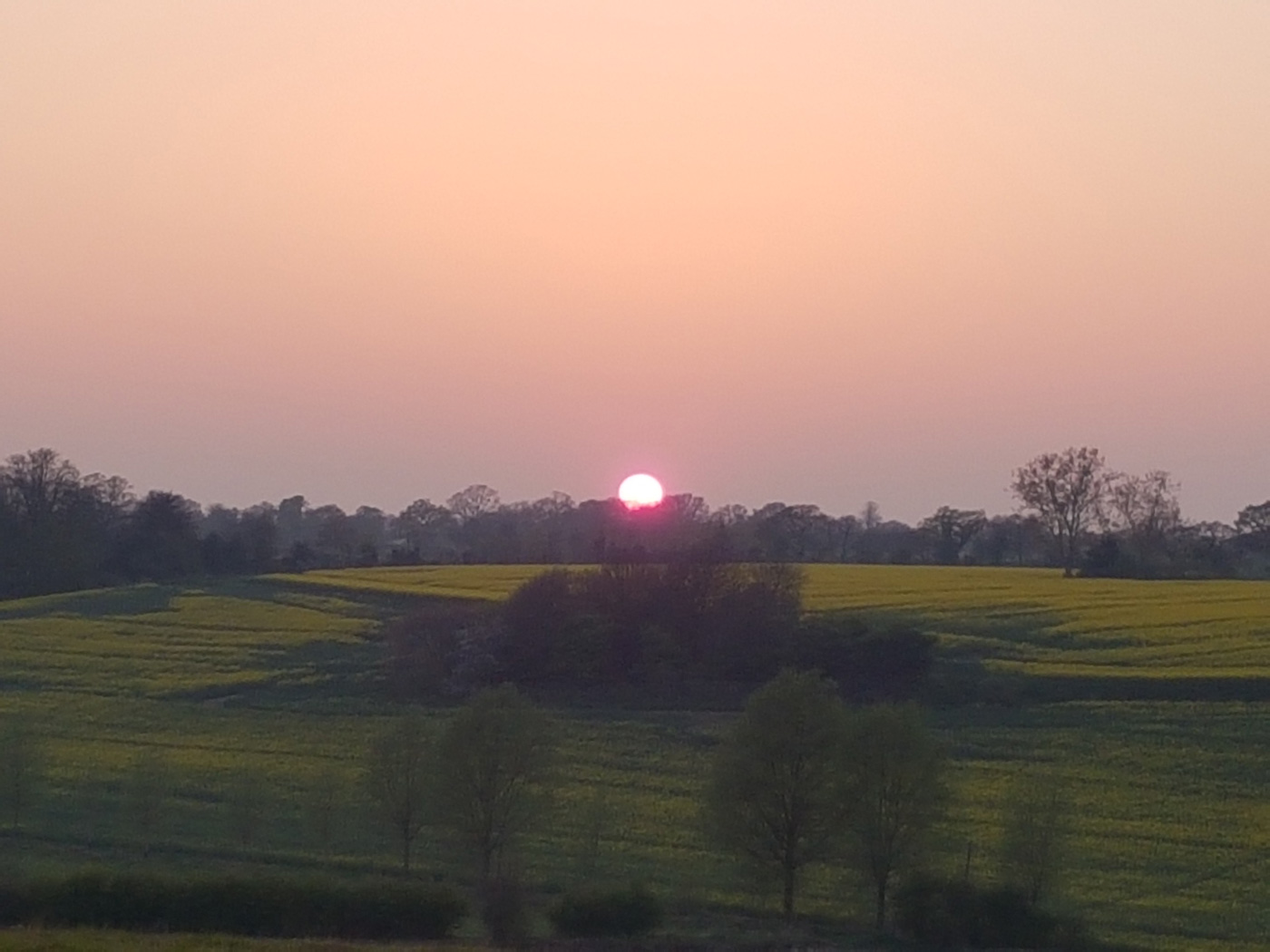 Gallery – Boxted Village Website