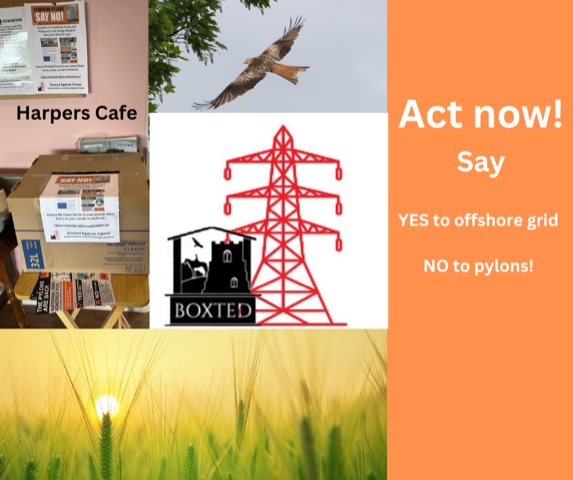 Say No To Pylons – Boxted Village Website