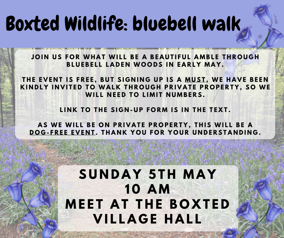 Boxted Village Website – Useful information and news