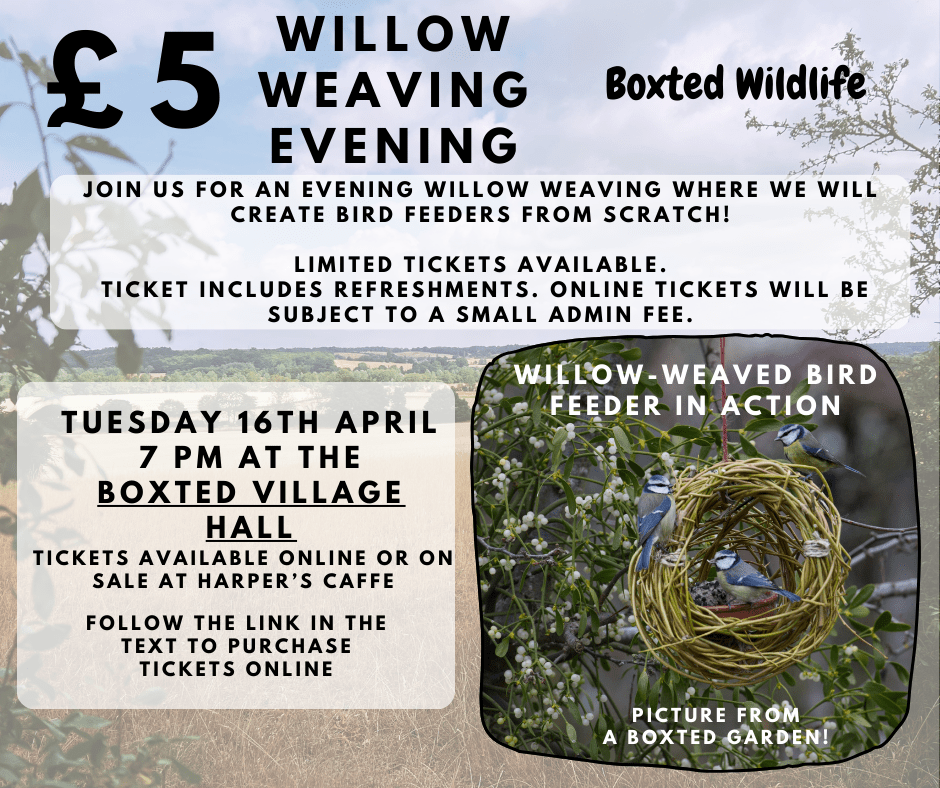 Boxted Village Website – Useful information and news