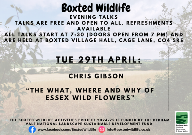 Boxted Village Website – Useful information and news