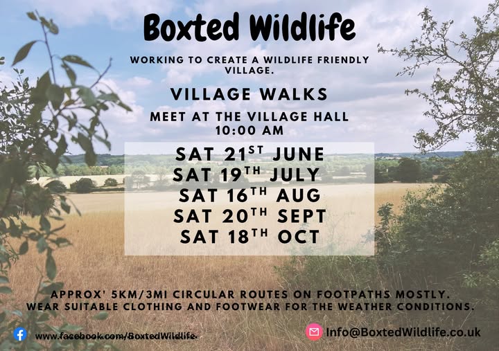 Boxted Village Website – Useful information and news